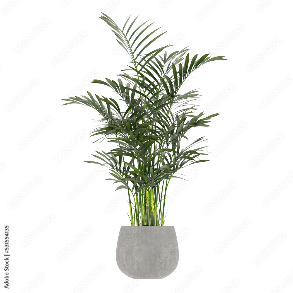 Plant, Plant PNG, Download Plant Transparent Background Stock ...
