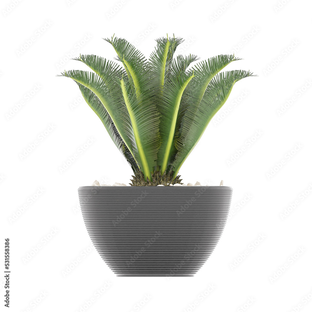 Plant, Plant PNG, Download Plant Transparent Background Stock ...