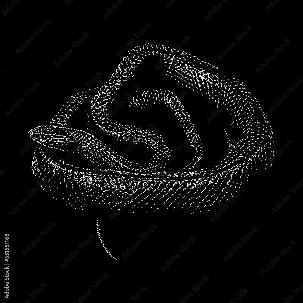 Mamba hand drawing vector illustration isolated on black background ...