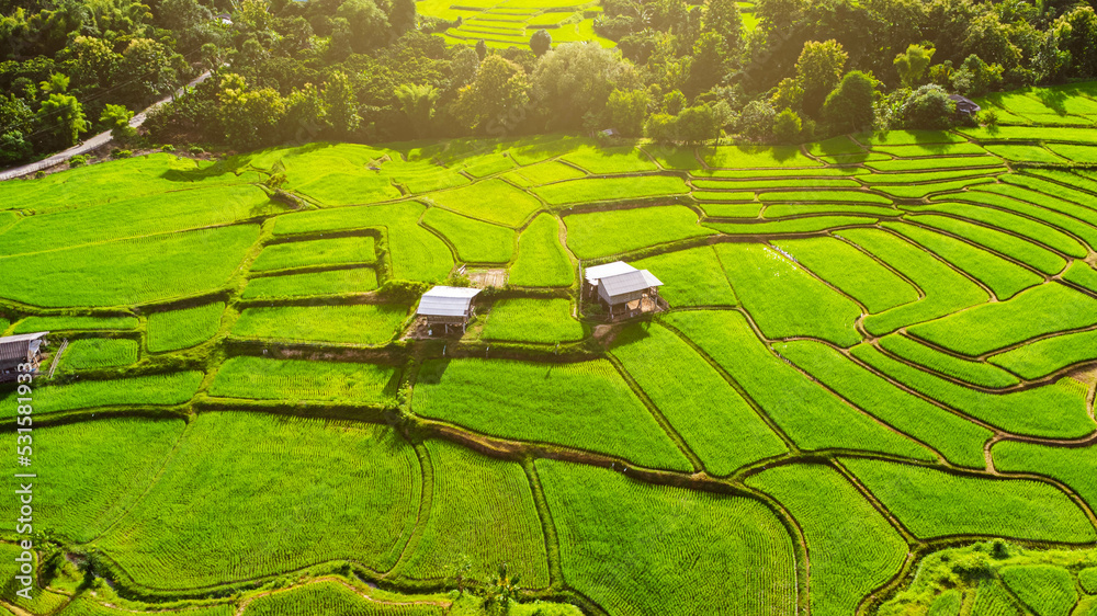 Aerial view of the green rice terraces on the mountains in spring ...