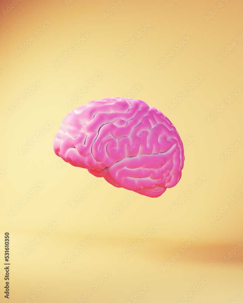 Pink Blue Brain human Medical Neurology Anatomy Thinking Mind ...