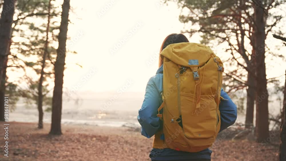 Girl travels through the natural park on foot. Hiking in woods. Girl ...