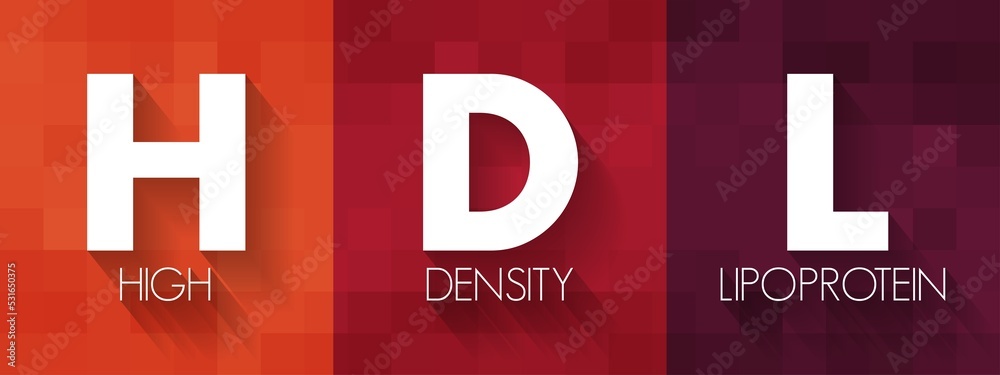 HDL High-Density Lipoprotein - one of the five major groups of ...