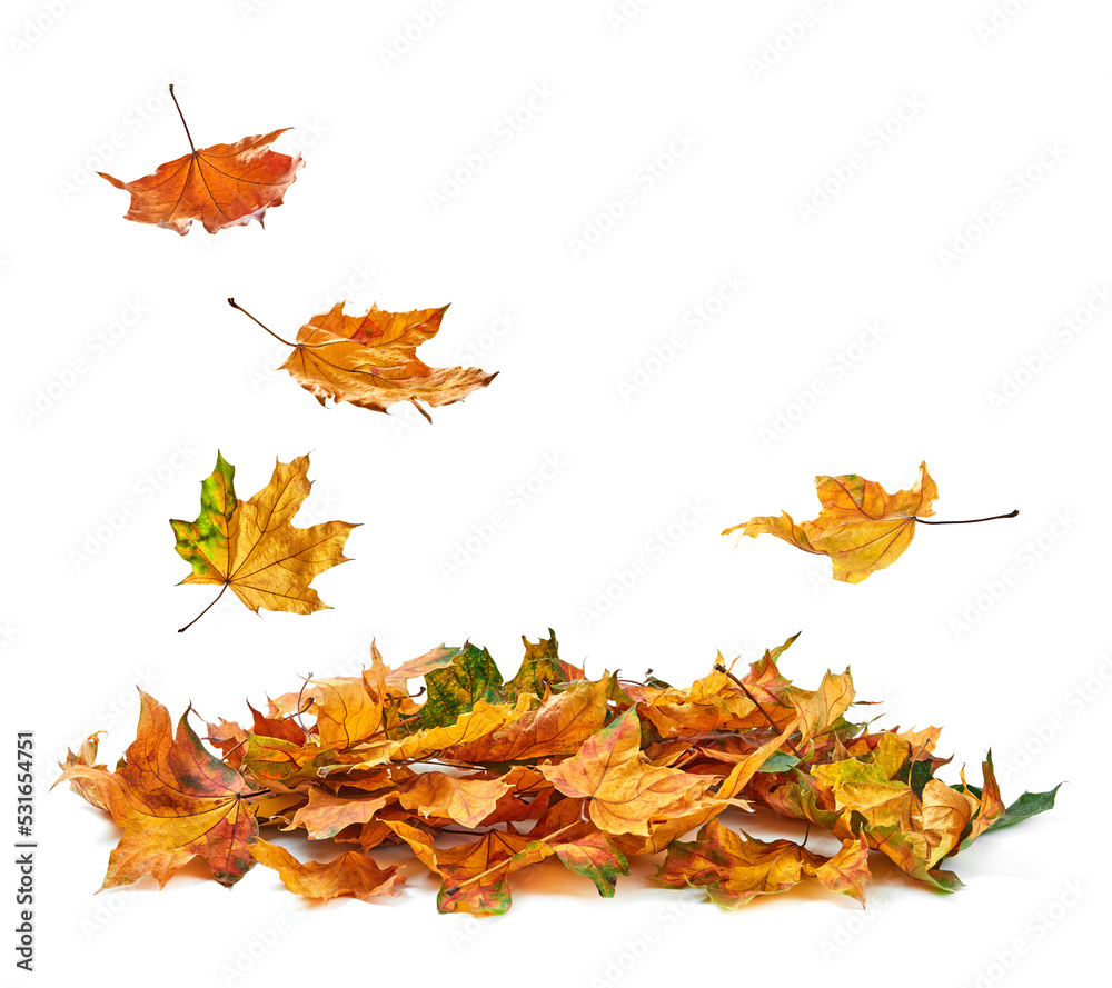 Clipart Fall Leaf Pile