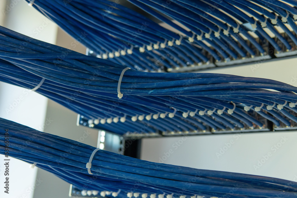 A large group of UTP cables, rack ethernet cables, patch panel UTP ...