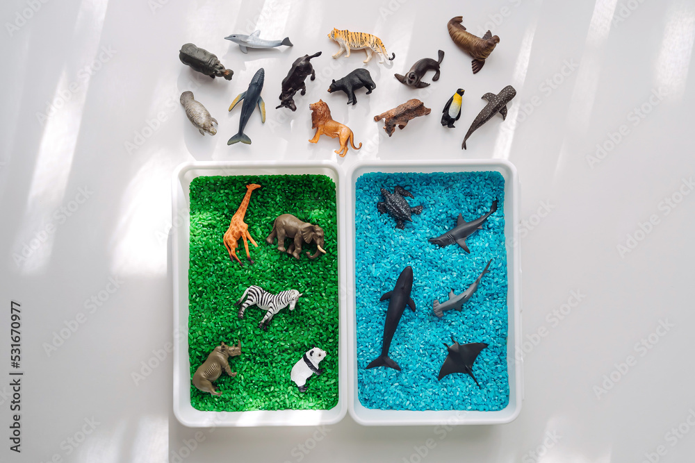 Ocean and land sensory sorting activity. Green and blue colored rice in ...