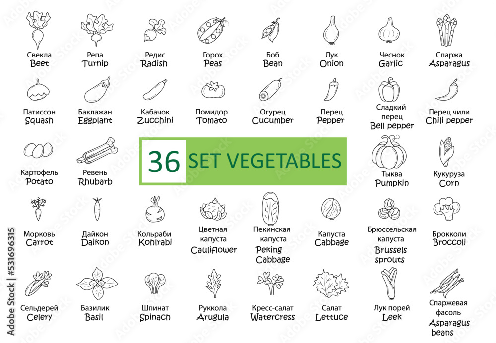 Vegetables icon set. Signature in Russian 36 icons set of vegetables ...
