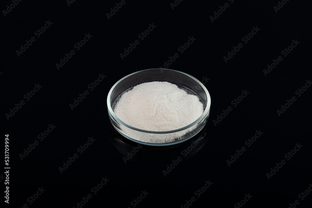 Carrageenan Gum Powder or Carrageenin in petri dish on dark background ...