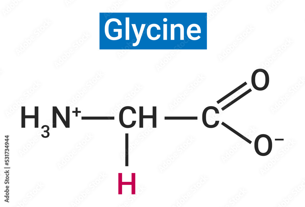 Chemical structure of Glycine acid Stock Vector | Adobe Stock