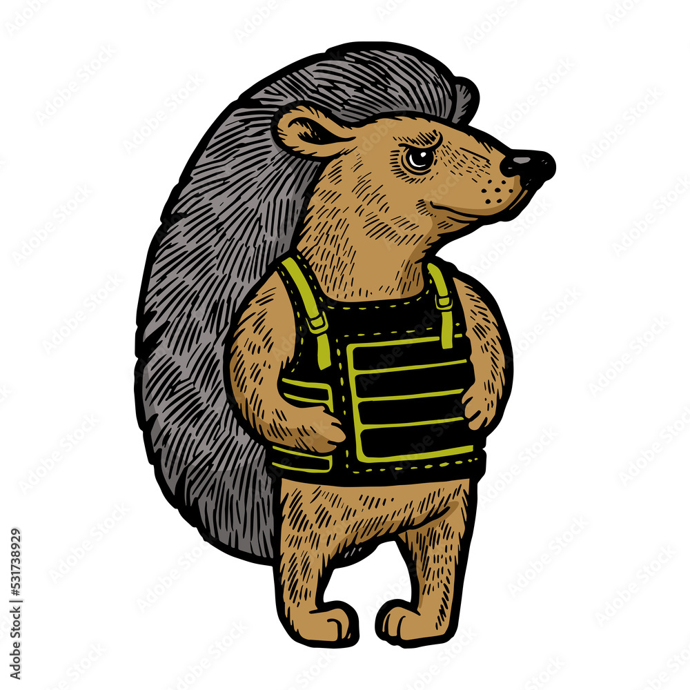 Hedgehog in body armor color sketch engraving PNG illustration with ...