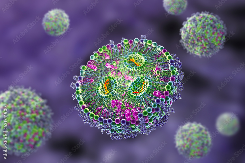 Lipid nanoparticle mRNA vaccine Stock Illustration | Adobe Stock