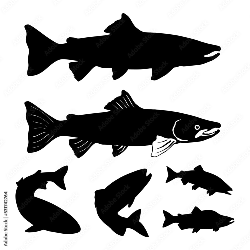 Set of salmon silhouette in line art style.Fish vector by hand drawing ...