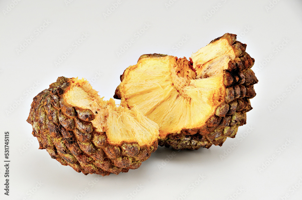 Marolo, araticum ou fruto bruto . Fruto tropical dos habitantes ...