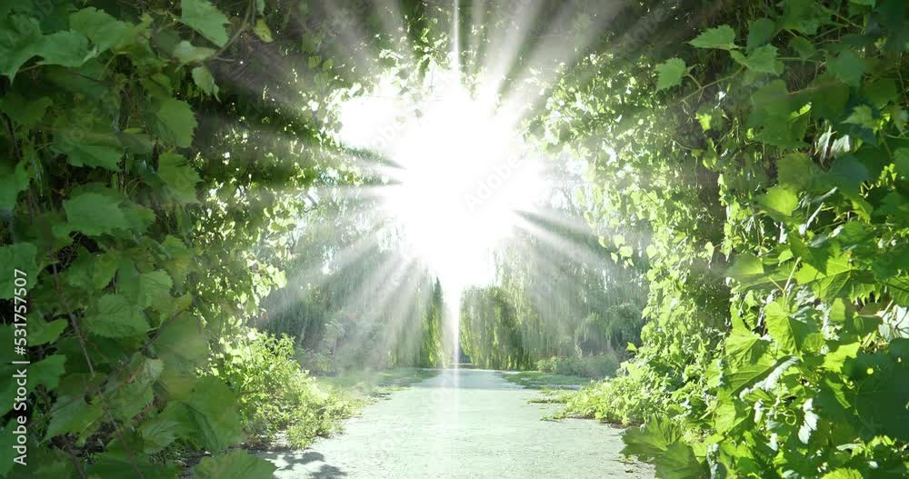 Angel light. Garden of Eden. Bright road to heaven. Post-mortem ...