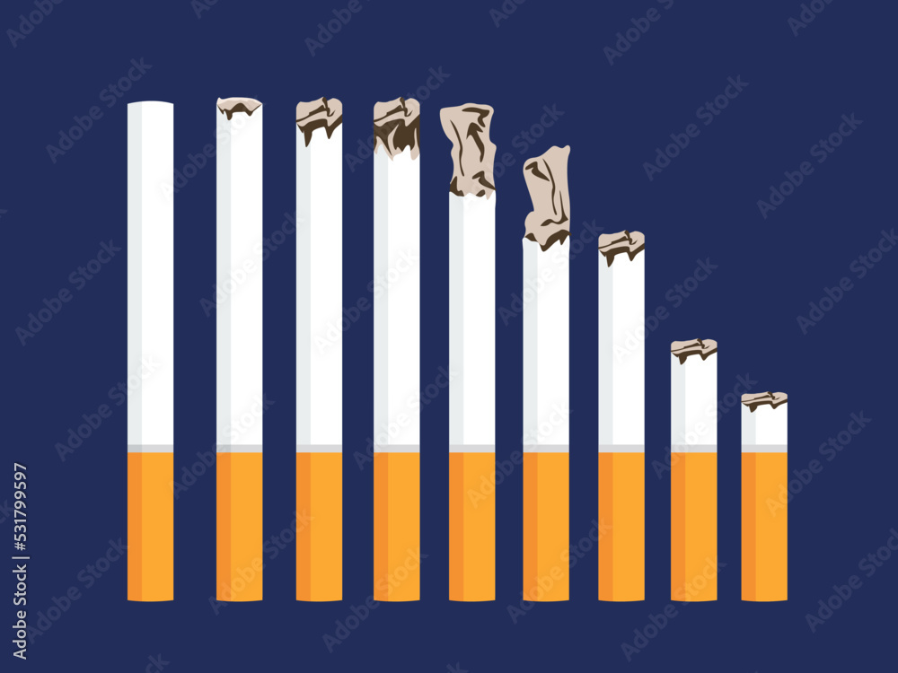 Cigarette combustion stages illustration, animation. Stock Vector ...