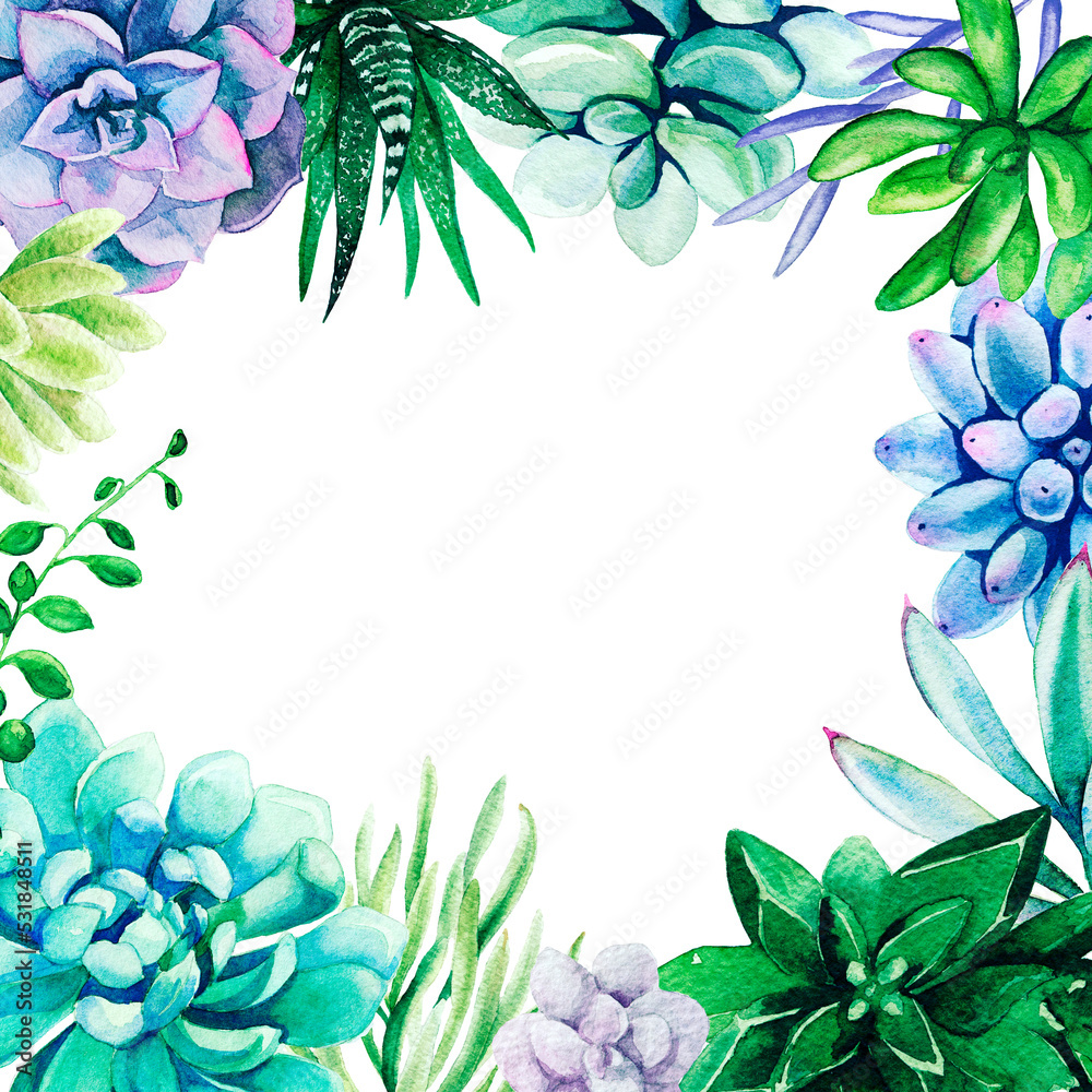 Watercolor frame composed of bright full color succulent plants Stock ...
