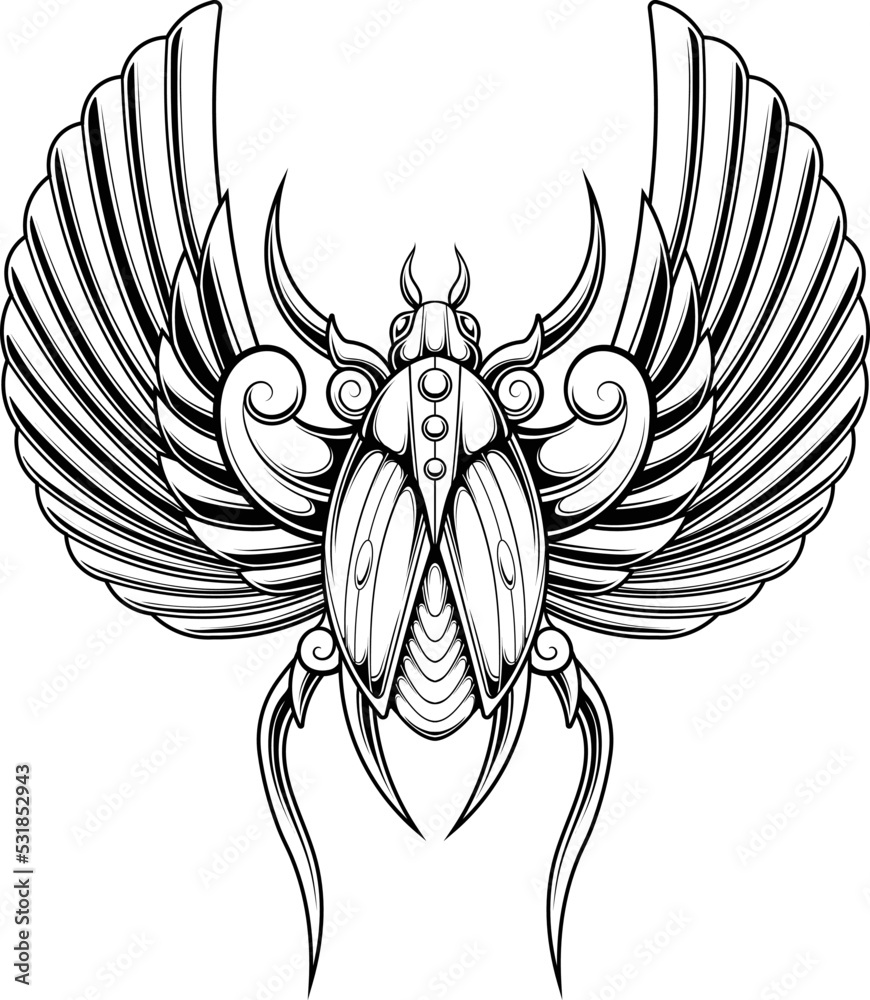 Egyptian Scarab Drawing