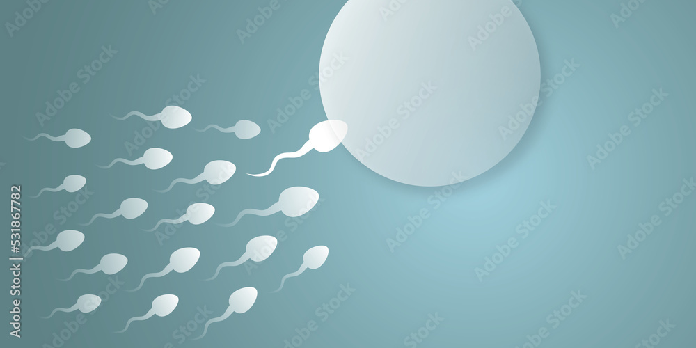 Human sperm cells moving to the egg cell with light on grey background ...