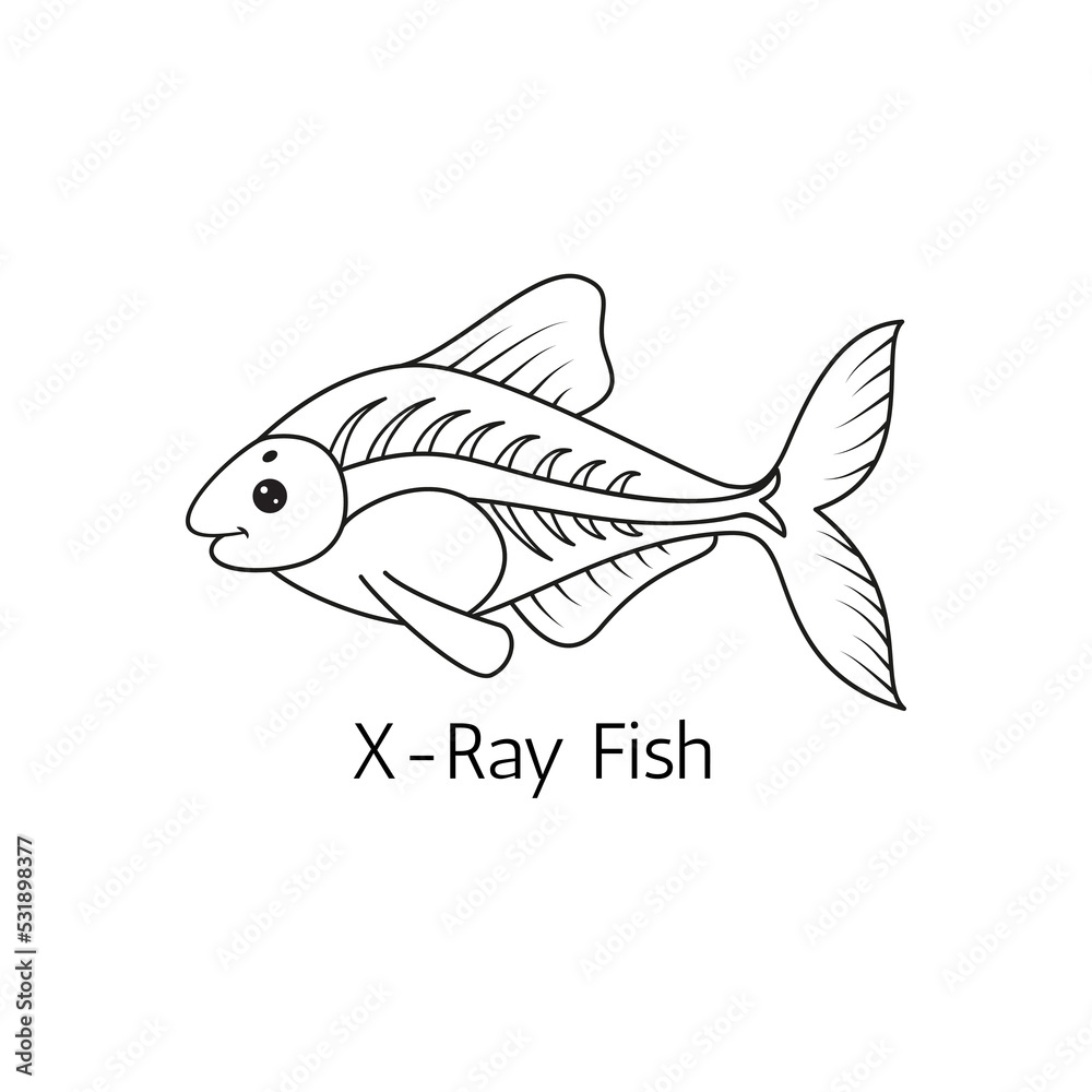 X-Ray Fish. Vector Illustration. Stock Vector | Adobe Stock