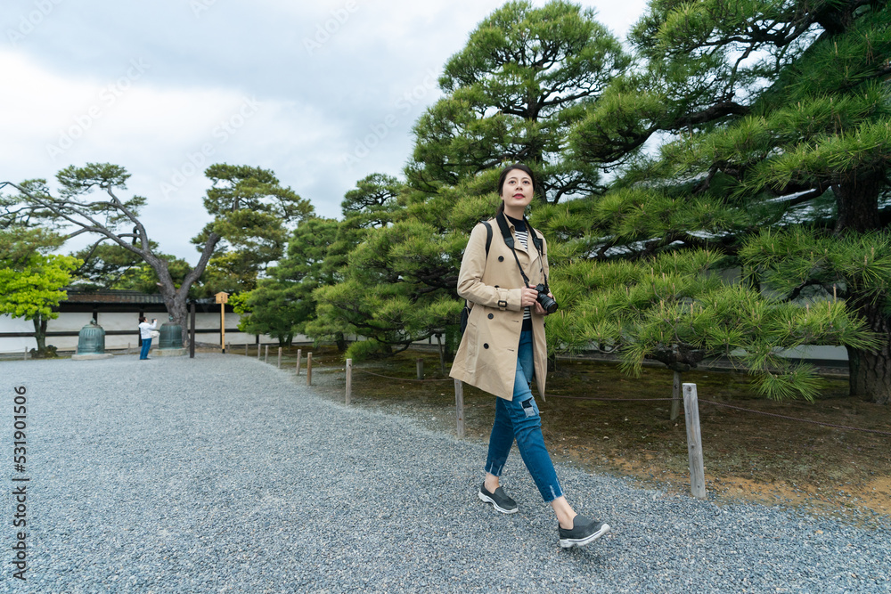 full length of asian Japanese girl traveler walking along a row of pine ...