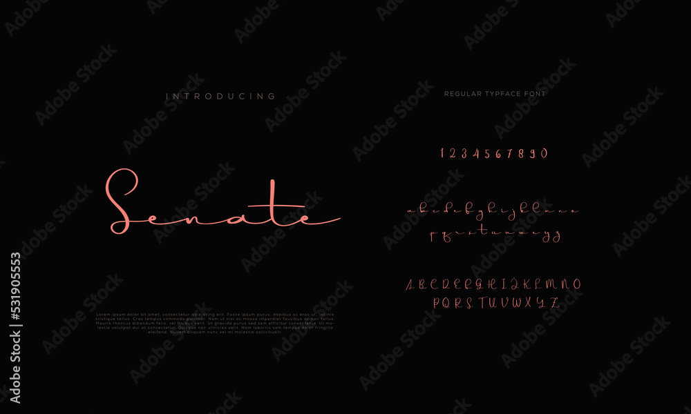 Handwritten Script font. Hand drawn brush style modern calligraphy ...