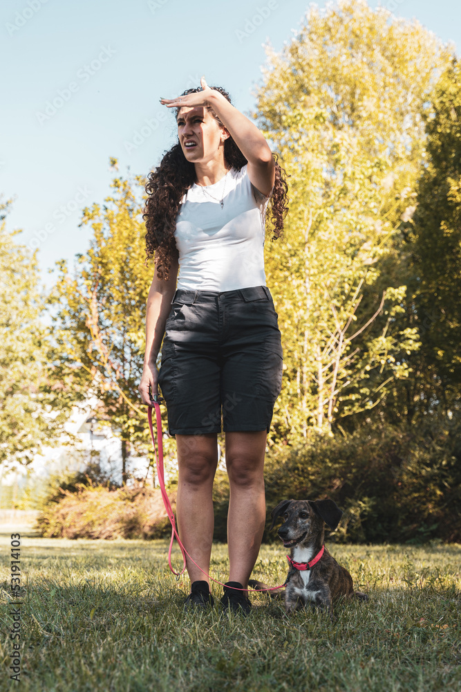 beautiful female dog trainer is training her dog in an outdoor park ...