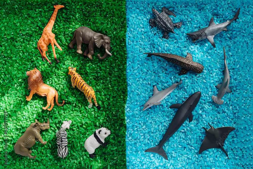 Ocean and land sensory sorting activity. Green and blue colored rice in ...