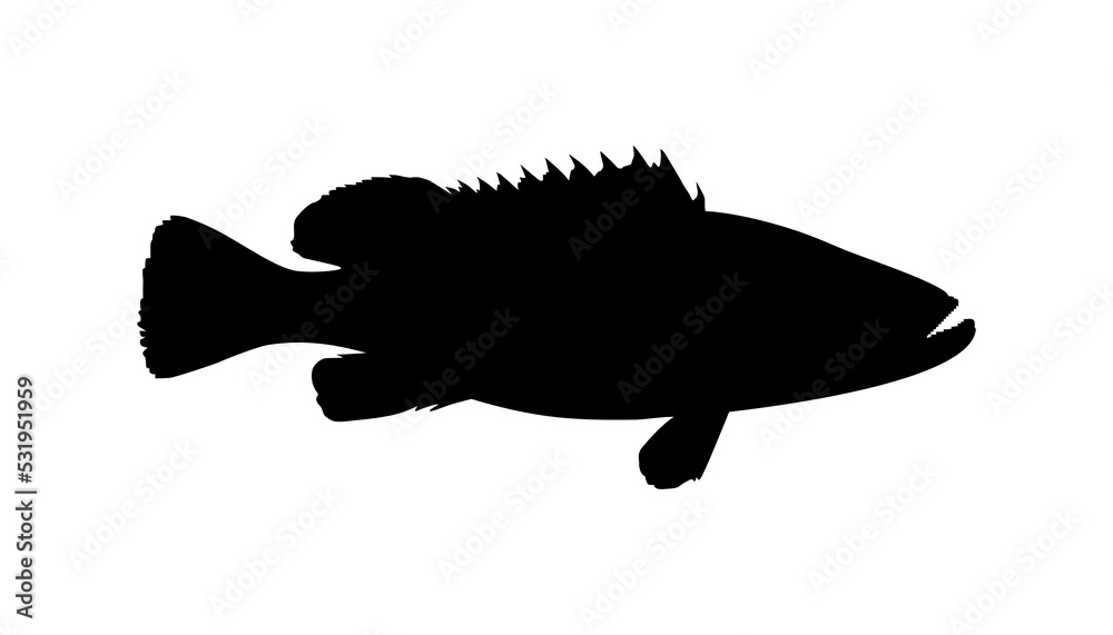 Groupers Fish Silhouette for Icon, Symbol, Pictogram, Logo or Graphic ...