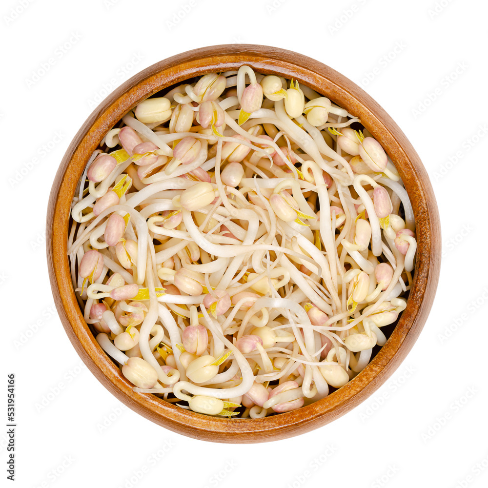 Mung bean sprouts in a wooden bowl. Vegetable, grown by sprouting mung ...
