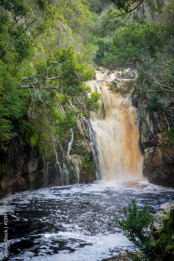 Waterfall on the Disa River, The brown water colour is from tannins ...
