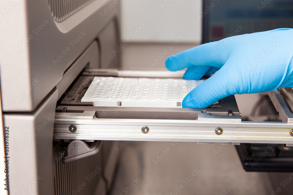 Scientist loading samples to a RT-PCR thermal cycler at the laboratory ...