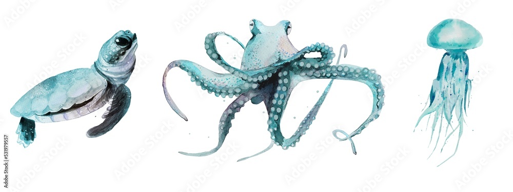 Water Color Sea Turtle, Octopus and Jellyfish. Ocean Creature Art ...