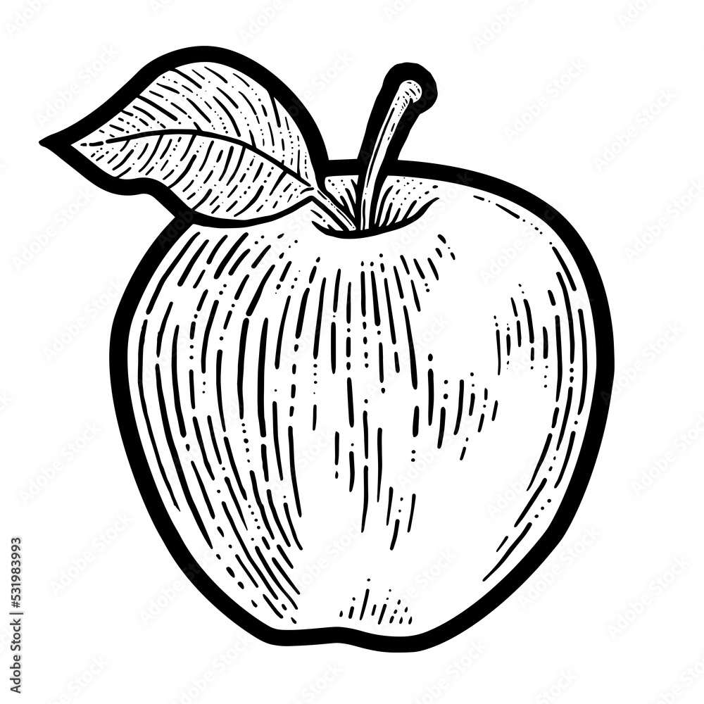 Apple fruit sketch PNG illustration with transparent background Stock ...