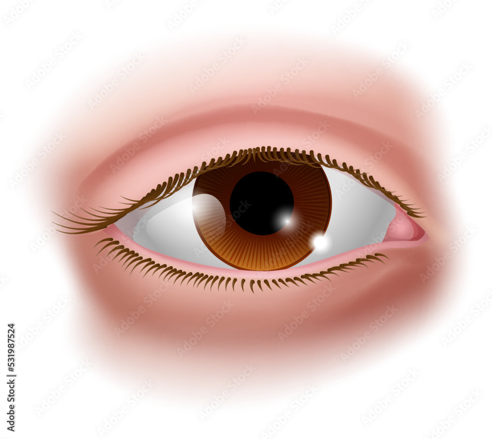 Eye five senses human body part sensory organ icon representing sight ...