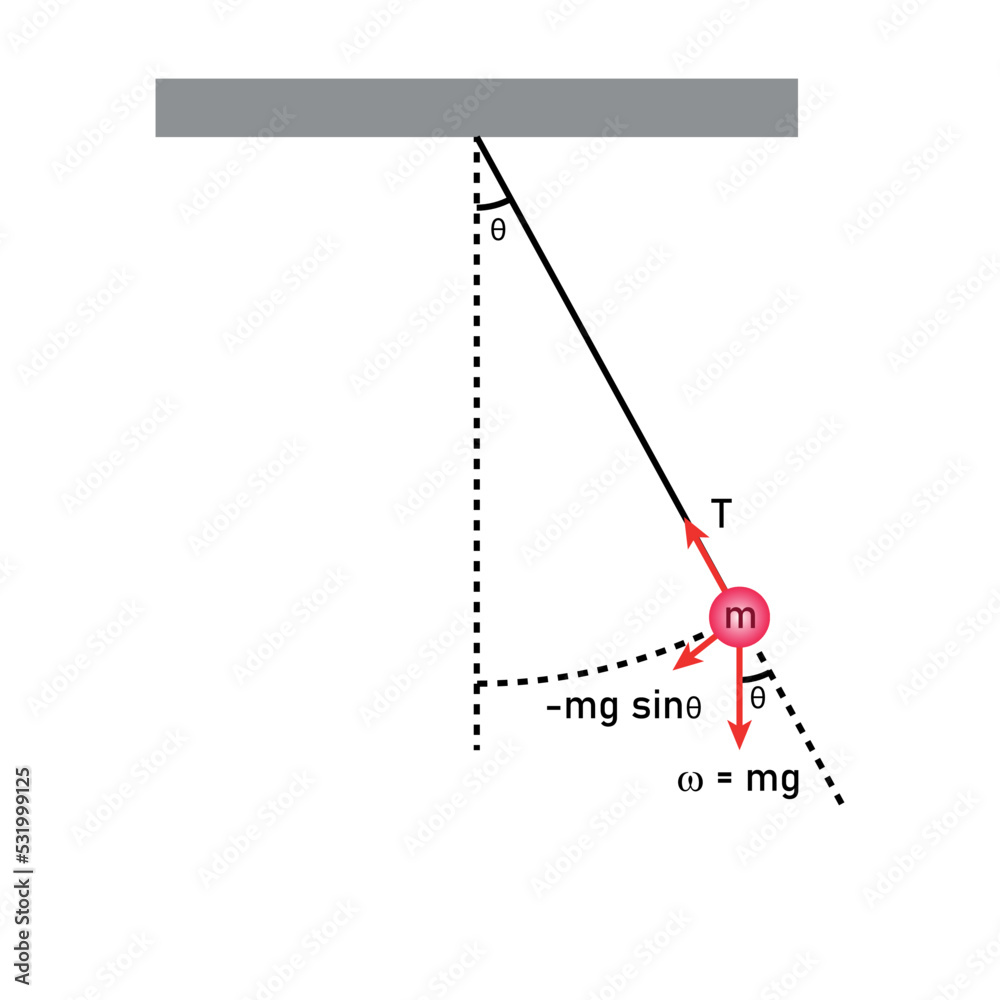 Diagram of simple pendulum harmonic motion. Stock Vector | Adobe Stock