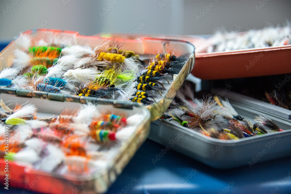 Multiple colorful salmon flies in plastic fly boxes. Some flies are ...