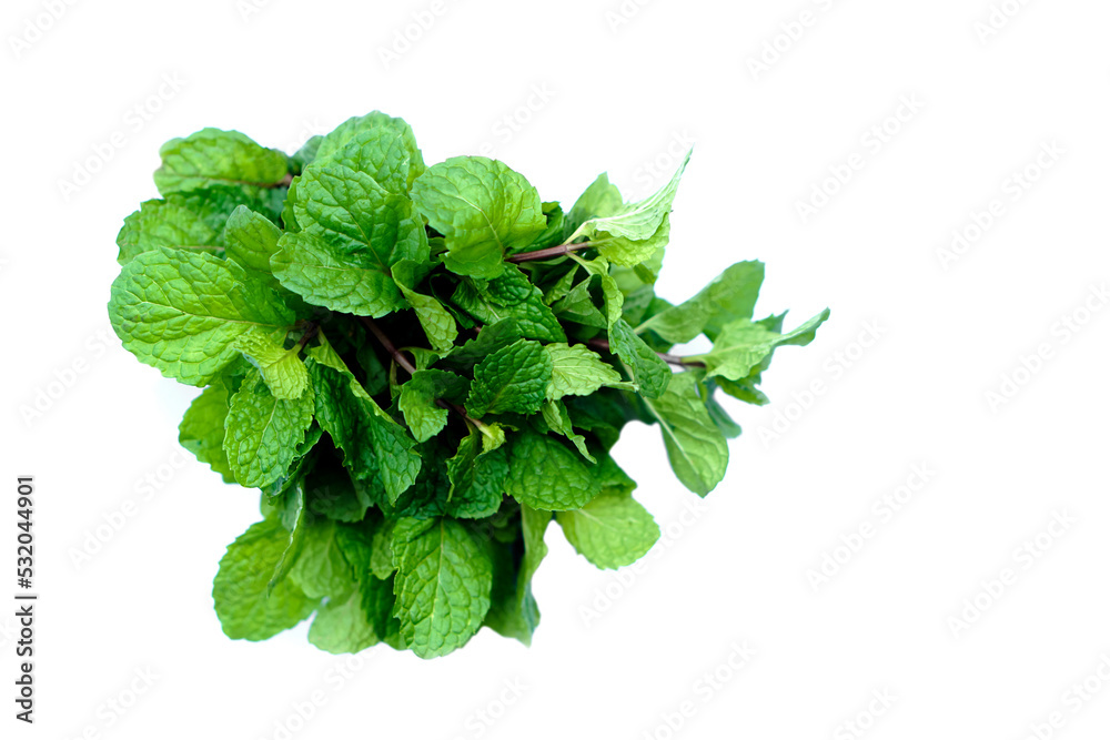 Organic Thai mints vegetables Concept : Thai herbal vegetable that has ...