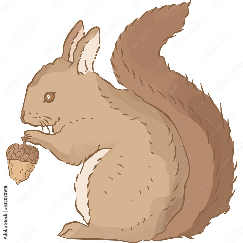 Squirrel holding Acorn PNG Clipart Illustration Stock Illustration ...