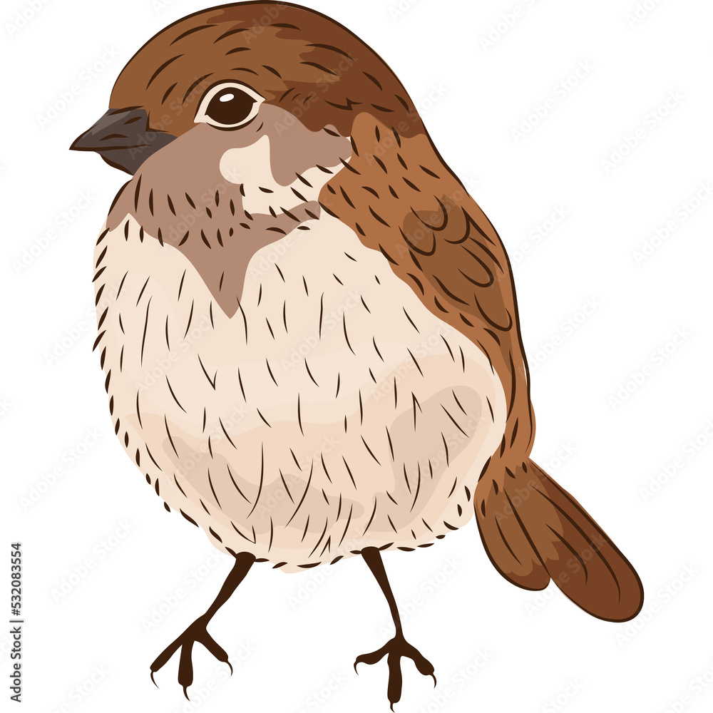 Small Bird PNG Clipart Illustration Stock Illustration | Adobe Stock