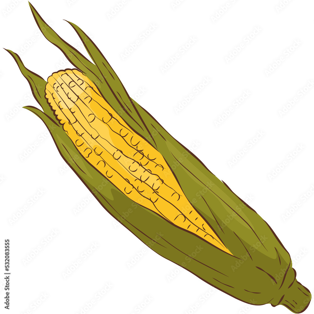 corn on the cob PNG Clipart Illustration Stock Illustration | Adobe Stock