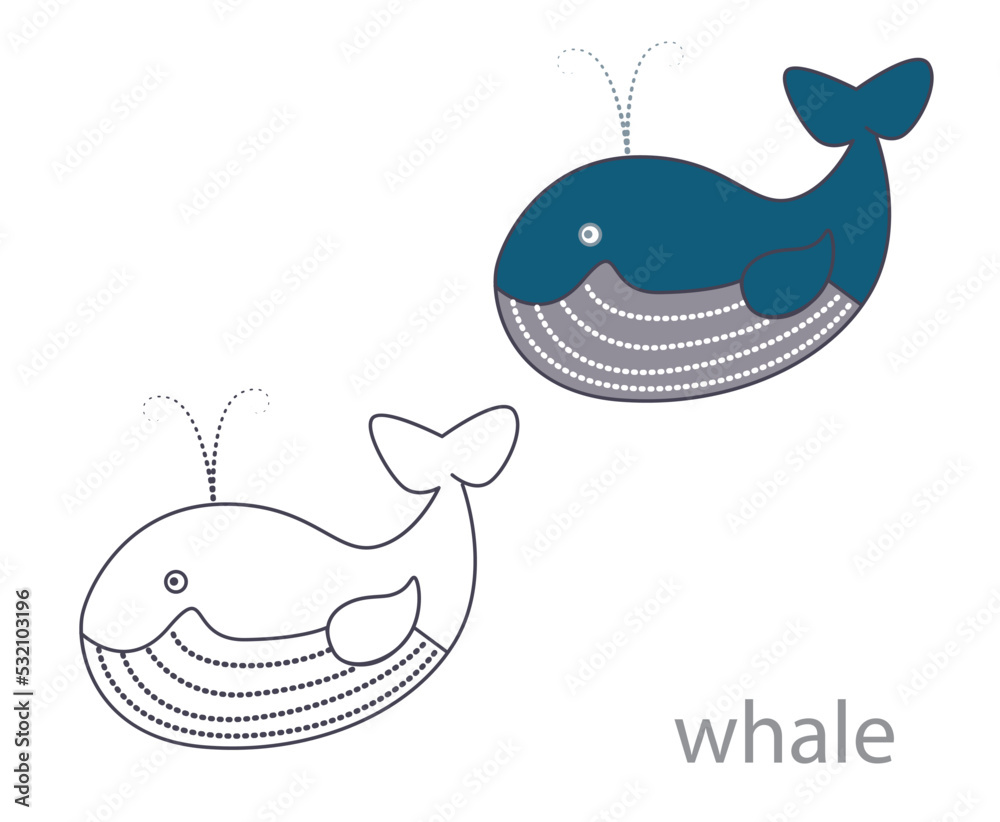 Set of colored gray whale and whale outline for coloring. Underwater ...