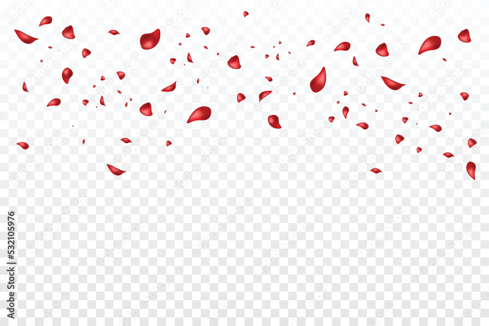 Falling Rose Petals Isolated On Transparent Background. Vector ...
