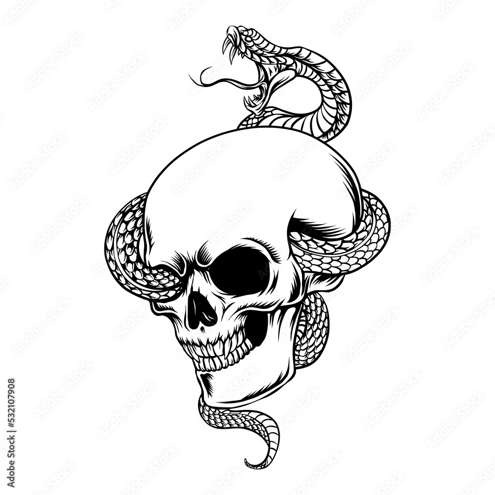 skull with snake vector image Stock Vector | Adobe Stock