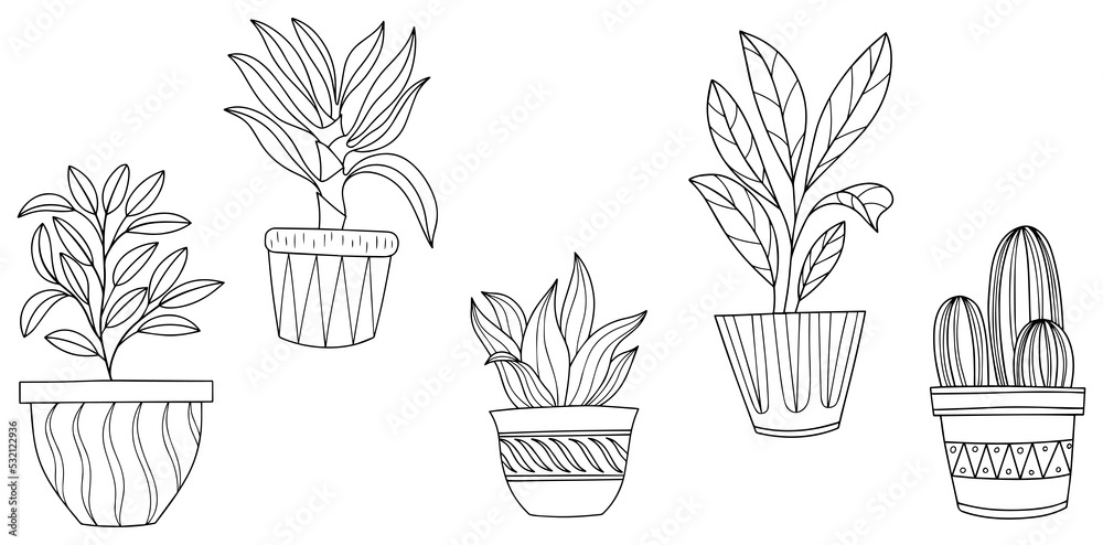 Hand drawn doodle. Houseplants collection. Png interior plants in pots ...