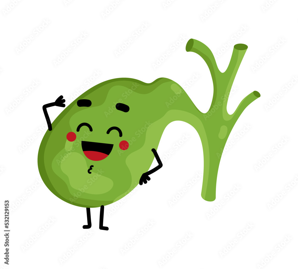 Human gallbladder cute cartoon character. Body anatomy element, health ...
