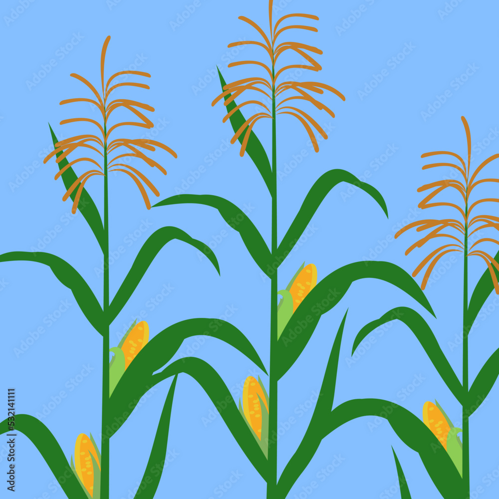 Cartoon Corn Stalks