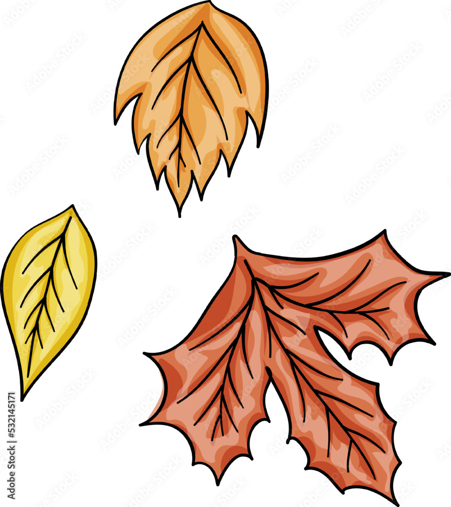 Autumn leaves set, isolated on white background. cartoon flat style ...