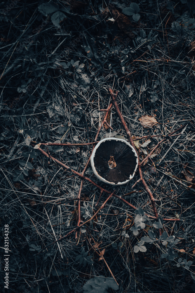 Mystic background with ritual esoteric objects: pentagram and mushroom ...