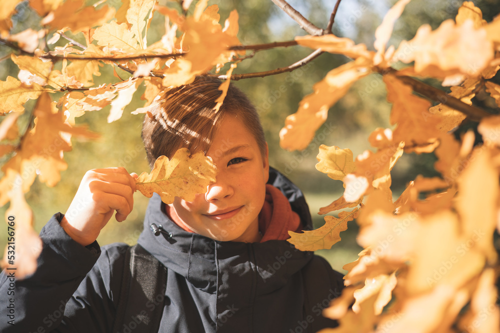 Autumn portrait of teenage boy with yellow oak leaf outdoors. Fall ...