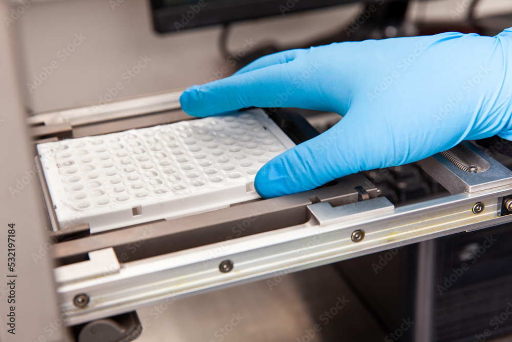 Scientist loading samples to a RT-PCR thermal cycler at the laboratory ...